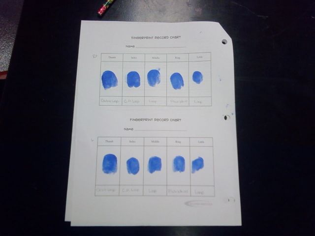 Wahoo Public Schools - WHS Anatomy Students Use CSI Techniques to Study ...
