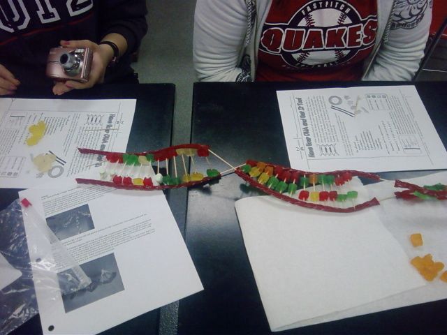 Wahoo Public Schools - WHS Biology Students Create Edible DNA in Recent Lab